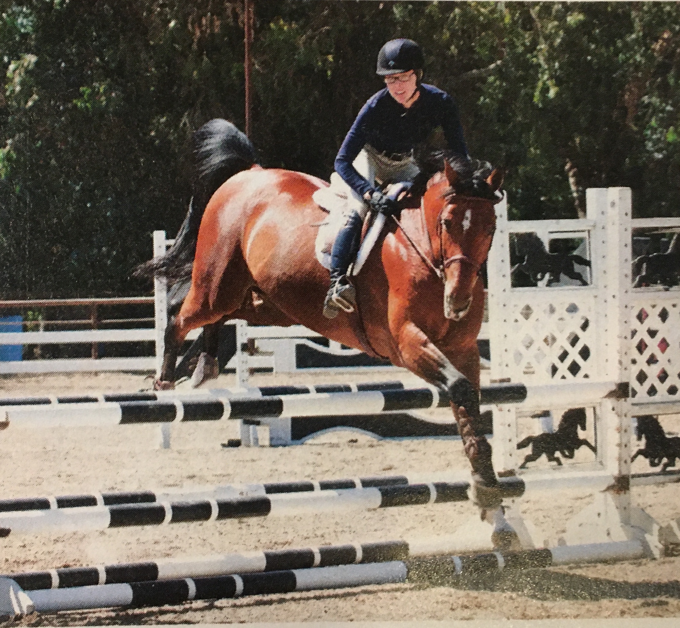 Use the Right Rein Release for the Job