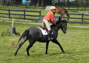 Improve Your Galloping Position for Cross Country