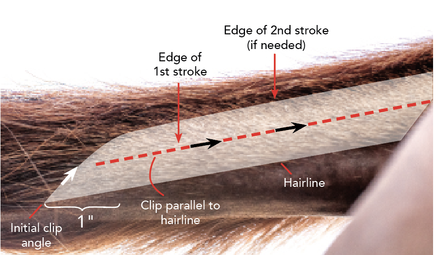 Clip Your Eventer's Tail