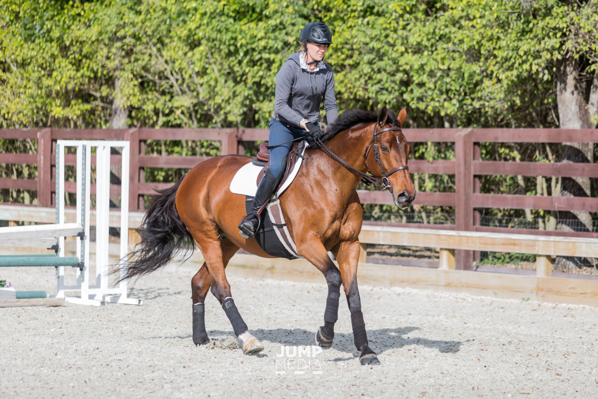 Straightness Basics: How Jane Ehrhart Gets Horses and Riders Show-Ring ...