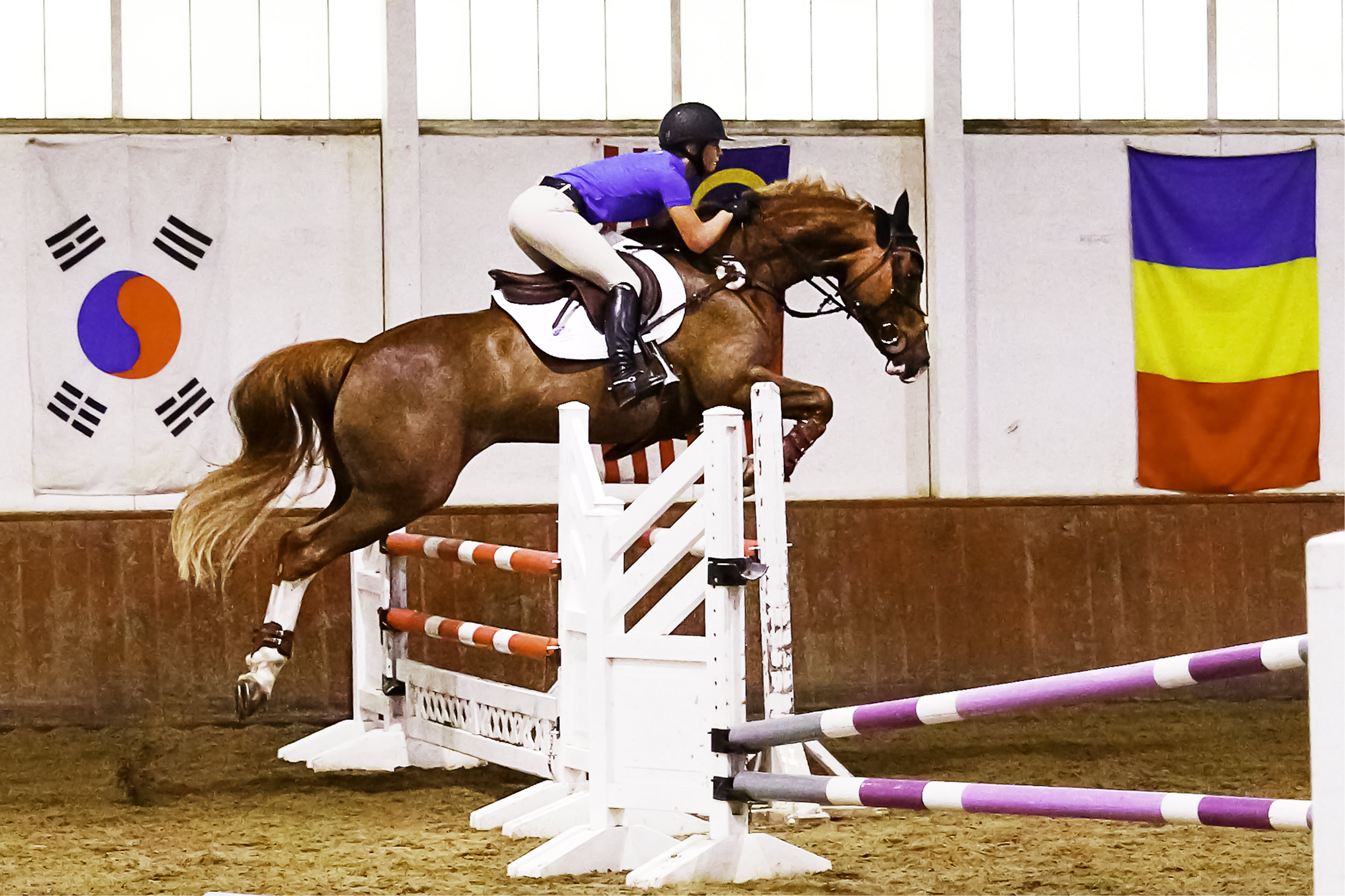 Jumping Clinic: Stirrup Placement
