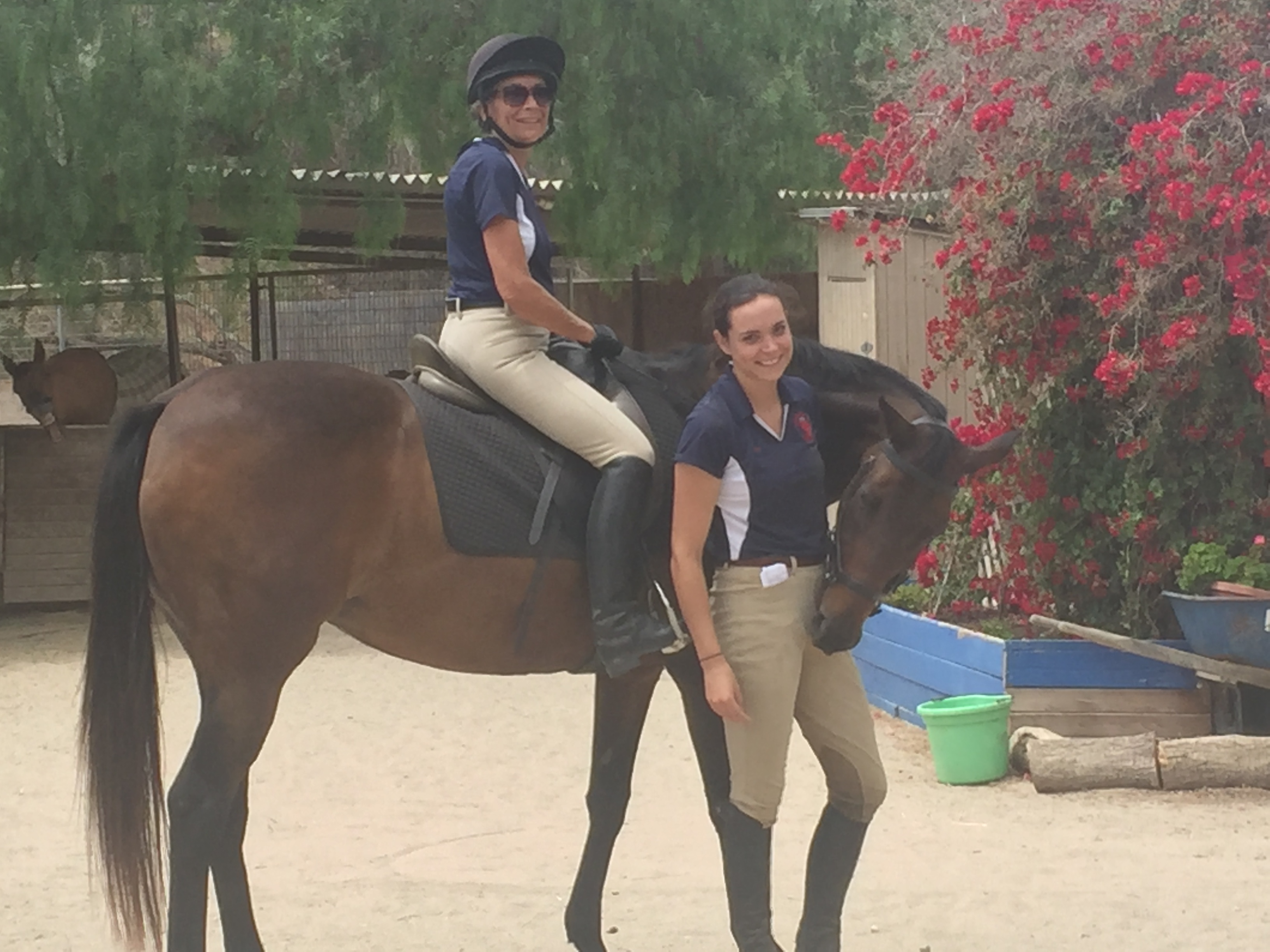 From Pony Club Mom to Horsemaster