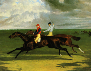 The Science of Galloping