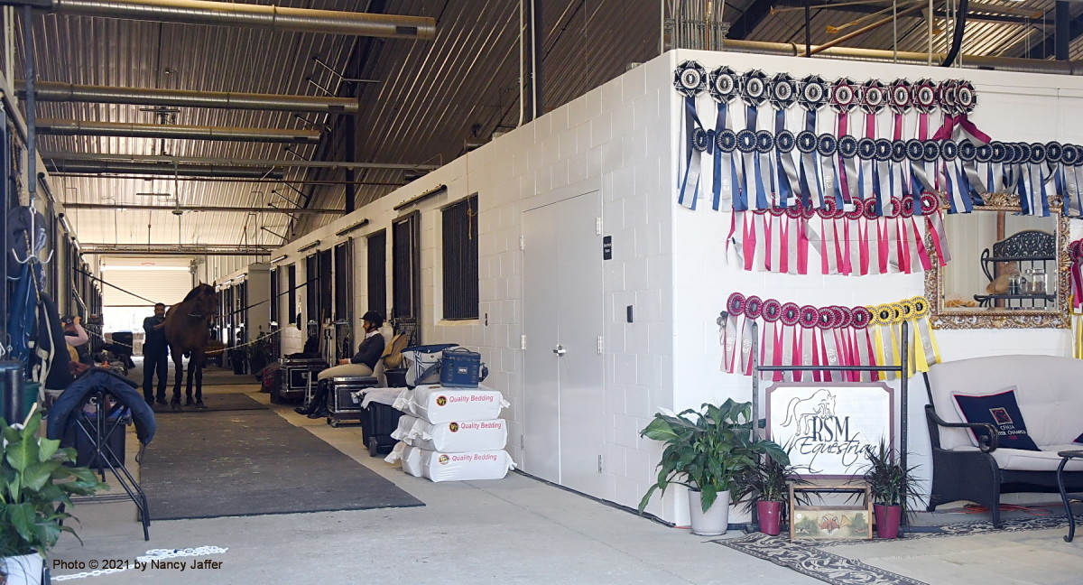 World Equestrian Center Ocala: The Best In The World